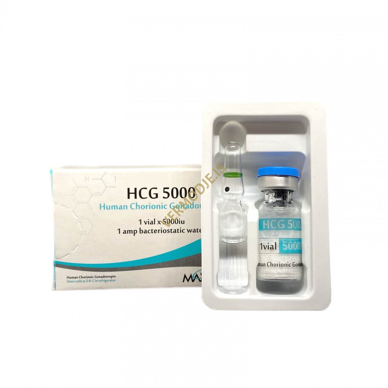 HCG 5000 IU (Chorionic Gonadotropin) MAXLab - 2025 Price